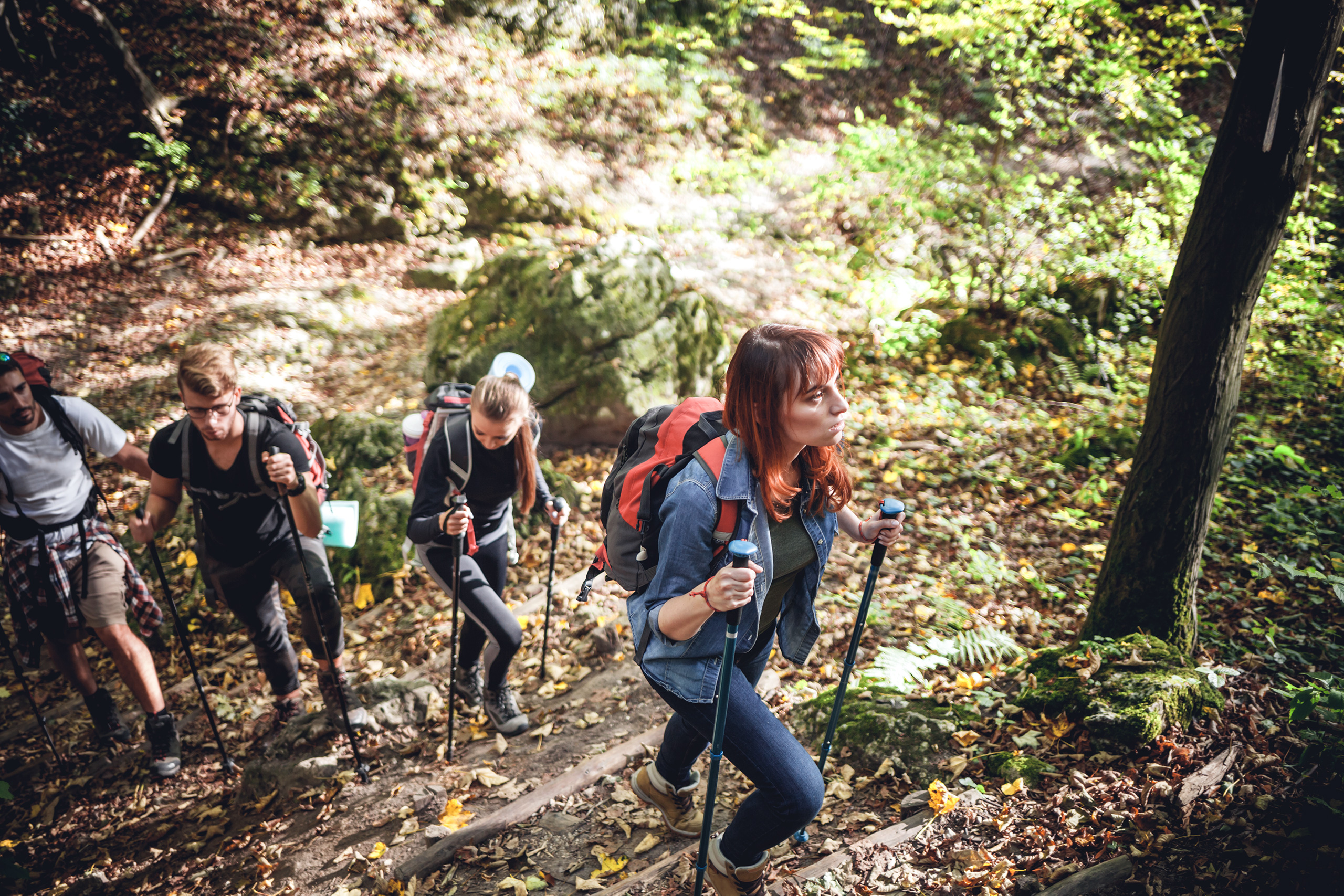 Frequently Asked Questions | CANARX